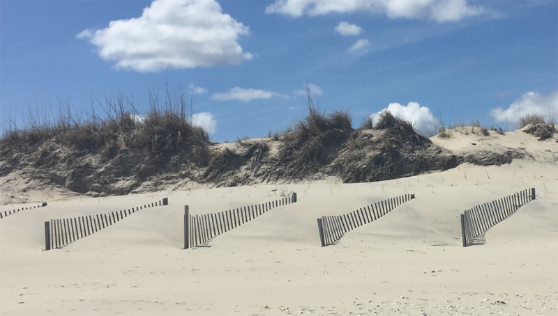 Sand Fence Cost Share Program Administrative Process - Currituck County
